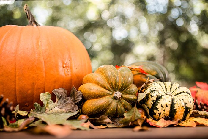 Stylishly Simple Fall Decor Ideas | Lafferty's Home Center